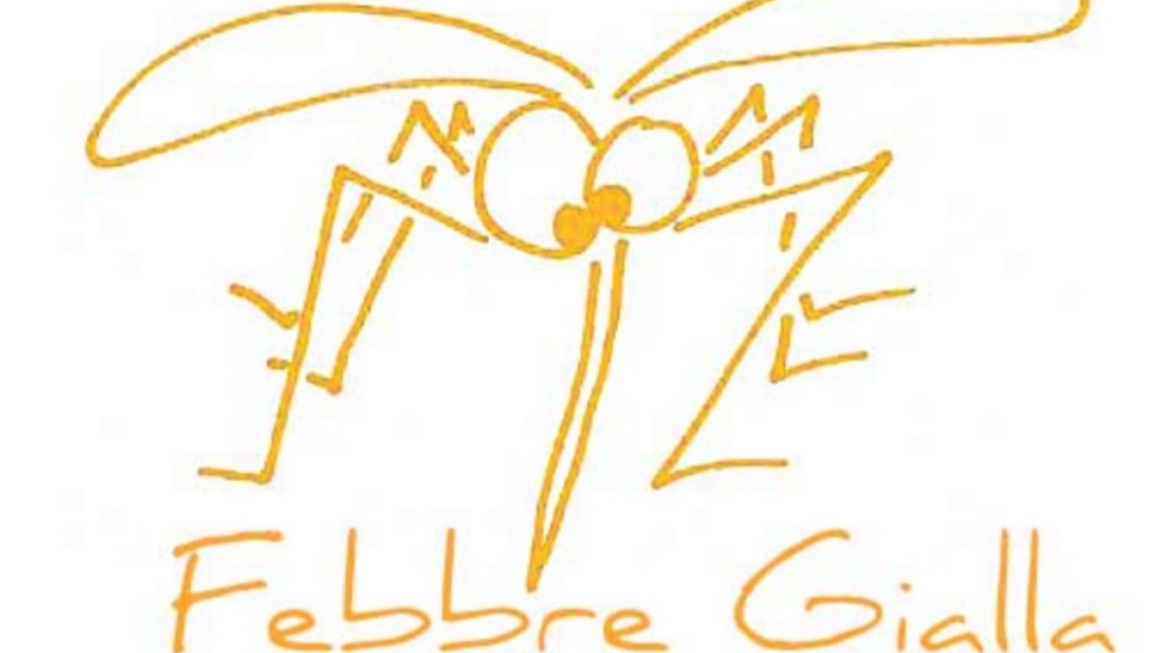 Grafico Della Febbre Gialla 1793